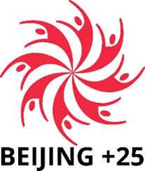 Beijing + 25 – Beijing Platform for Action (BPfA) 25 Year Review and Evaluation – NGO Womens ...